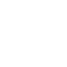 Пробуждение от великого сна | Project Amber — Genshin Impact Wiki Database